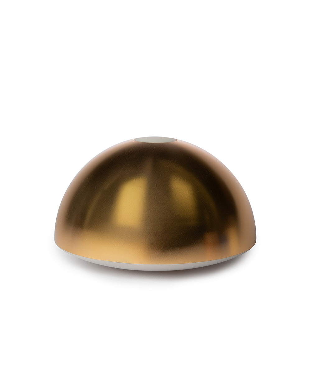 Bug Shade Gold